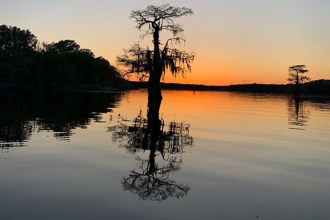 Mystical Private Kayak and Canoe Tours on Caddo Lake - Discovering Caddo Lake: An Authentic Paddle Experience