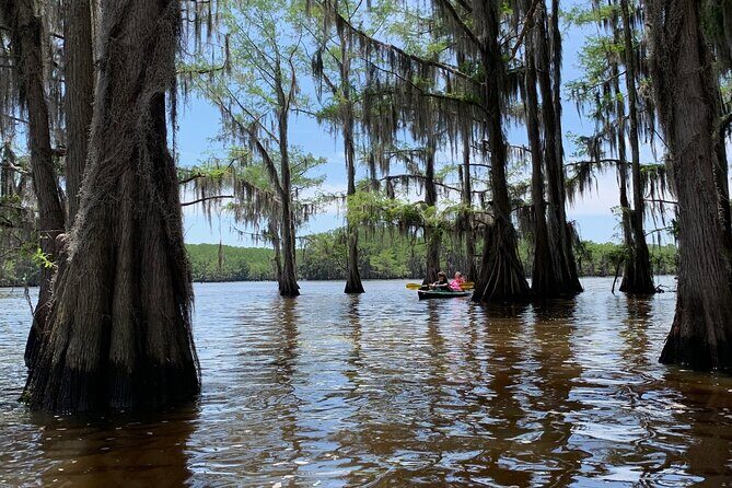 Mystical Private Kayak and Canoe Tours on Caddo Lake - The Sum Up: Why This Tour Stands Out