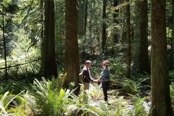 Mystical Rainforest Tour - Forest Magick - A Closer Look at the Experience