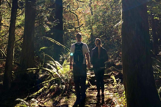 Mystical Rainforest Tour - Forest Magick - Authentic Traveler Perspectives