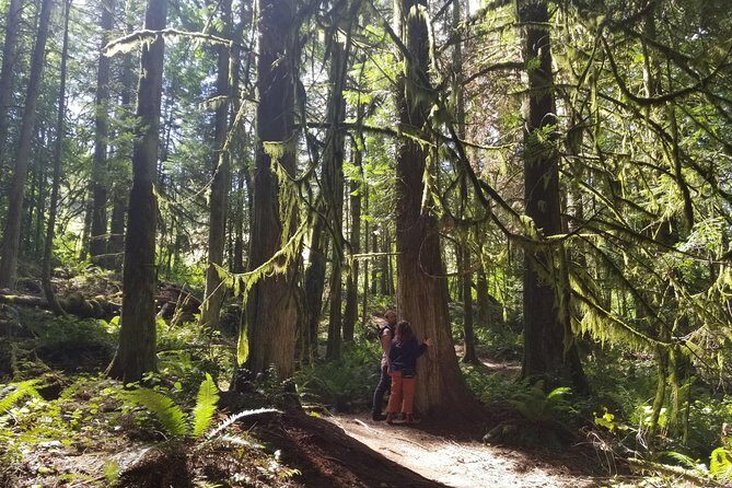 Mystical Rainforest Tour - Forest Magick - Practical Details and Recommendations