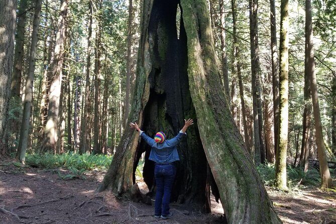 Mystical Rainforest Tour - Forest Magick - Final Thoughts: A Nature Experience with a Spiritual Twist