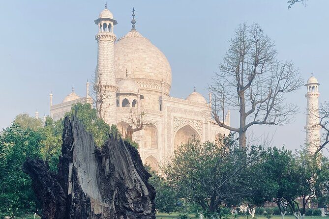 Myth Busting Tour of History in Taj Mahal - Who Should Consider This Tour?