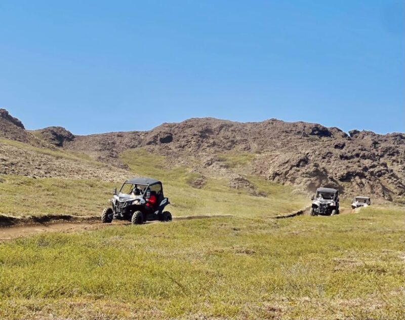 Mývatn: Lake Mývatn ATV Guided Safari Experience - FAQ: Your Questions About the Lake Mývatn ATV Safari