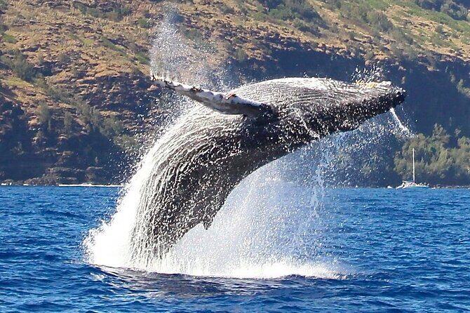 N Pali Coast Zodiac Raft Expedition and Snorkeling on Kauai - Detailed Itinerary Breakdown