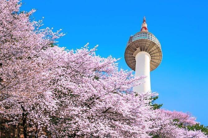 N Seoul Tower Observatory Ticket and N Burger Set - Who Should Consider This Tour?