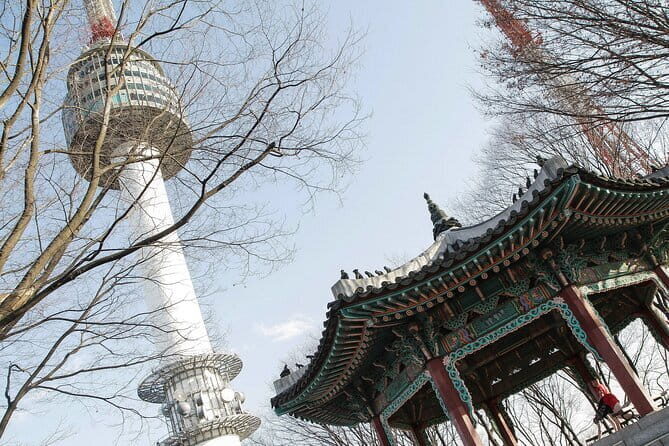 N Seoul Tower Observatory Ticket South Korea - The Experience at N Seoul Tower: What to Expect