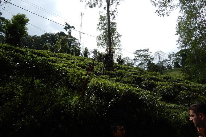 N trekkers Matale - Why You Should Consider This Trek