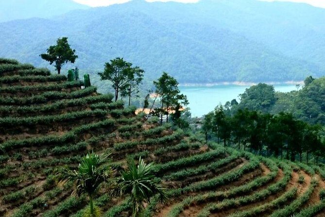 N116 Shijiu Old Street Qiandao Lake Secret World Gossip Tea Garden Day Tour (10h) - The Sum Up