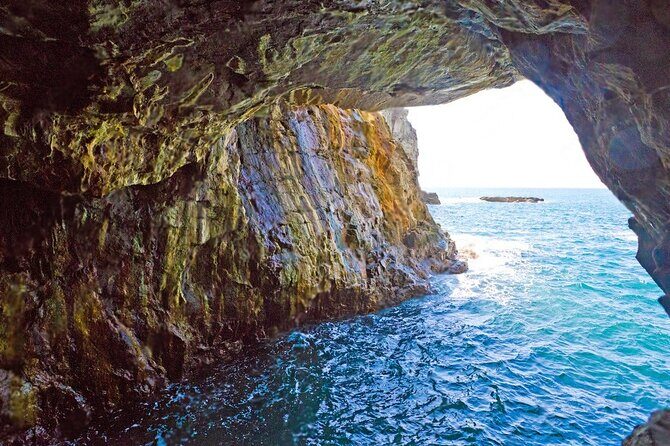 Nachi Waterfall, Mount Koya & Wakayama Tour with Two Options - An Introduction to the Wakayama Waterfall & Sacred Sites Tour