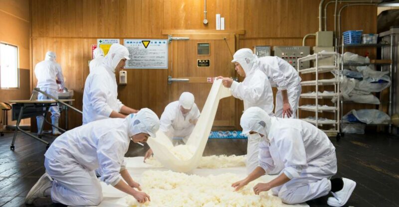 Nada Sake Breweries Kobe Private Tour with Licensed Guide - Who Should Consider This Tour?