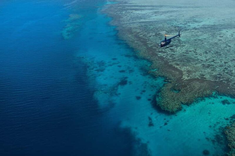 Nadi: 25 minutes Mamanuca Island Tour - Authentic Feedback: What Travelers Are Saying