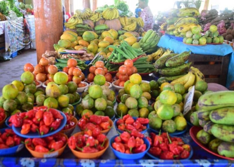 Nadi: Culture, Temples, Markets & Garden Adventure - Final Thoughts