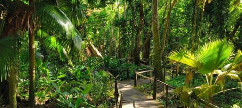 NADI: Exquisite Orchid Garden Tour with Hotspring & Mudpool - What to Expect and Practical Tips