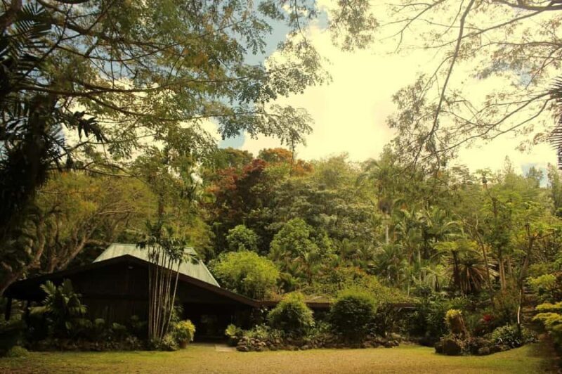 NADI: Exquisite Orchid Garden Tour with Hotspring & Mudpool - Overall Impression