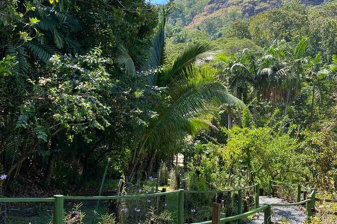 Nadi Fiji Historical Half Day Tour - An Inside Look at the Nadi Fiji Historical Half Day Tour