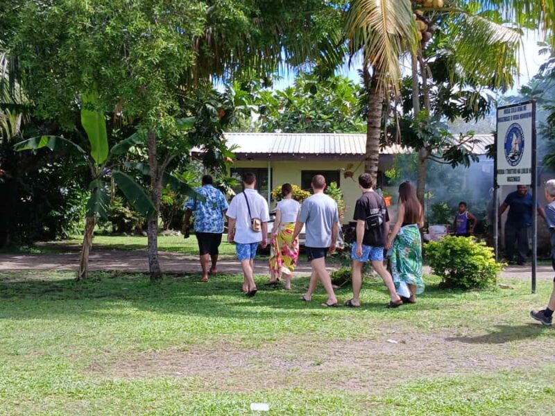 Nadi: Fijian Village Tour with Tifajek Mudpool and Hotspring - A Practical Overview of the Experience