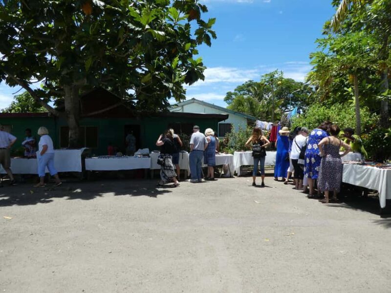 NADI: Fijian Village with Sabeto Hotspring Mudpool Tour - The Sum Up
