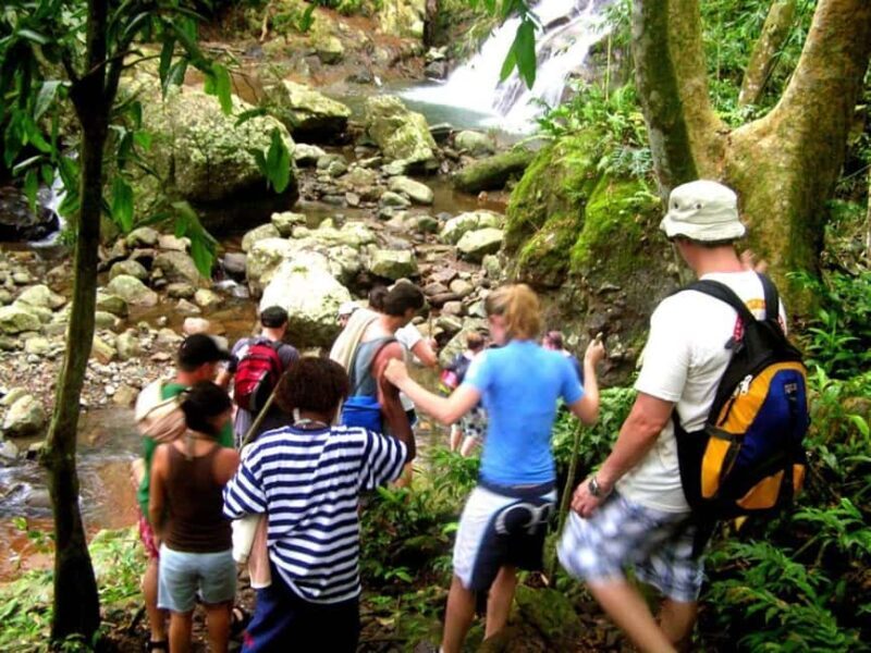 NADI: Nalesutale Village Half Day Tour - Welcome to Nalesutale Village: A Hidden Fijian Gem
