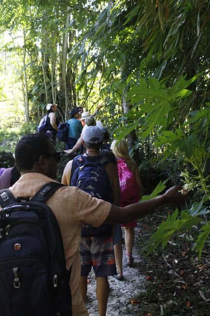 NADI: Nalesutale Village Half Day Tour - FAQ