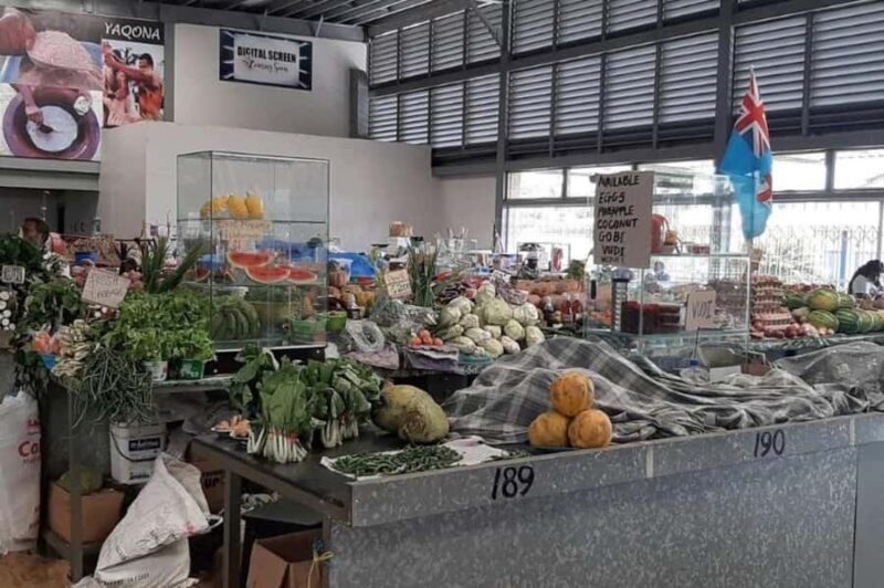 Nadi: Private Tour with Temple, Garden, Markets & Mud Pools - Key Points