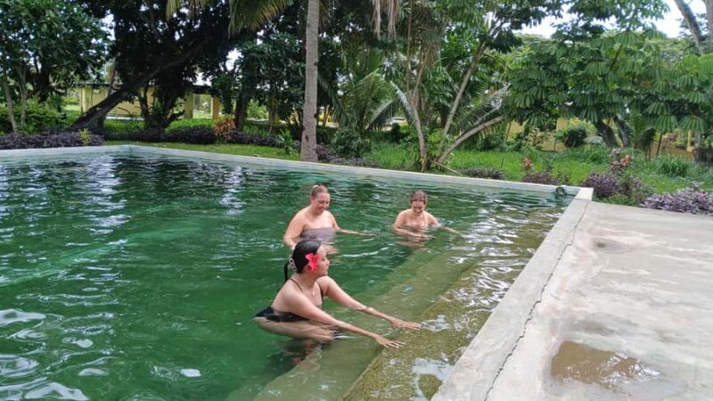 NADI: Sabeto Tifajek Mudpool & Hot Spring Tours & Tickets - A Deep Dive into the Tour Experience