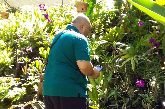 Nadi Sightseeing Including Viseisei Lookout, Village Tour, Garden & Temple Tour - The Practical Side: What to Know Before You Book