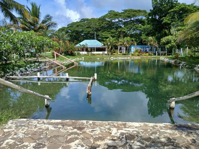 NADI: Tifajek Mud Pool and Hot Spring Natural Spa Tour - Key Points