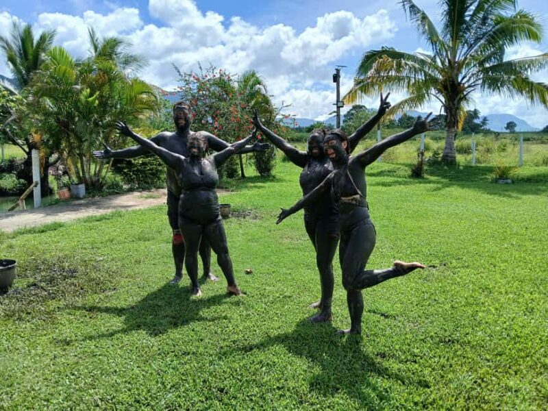 NADI: Tifajek Mud Pool and Hot Spring Natural Spa Tour - The Experience Breakdown