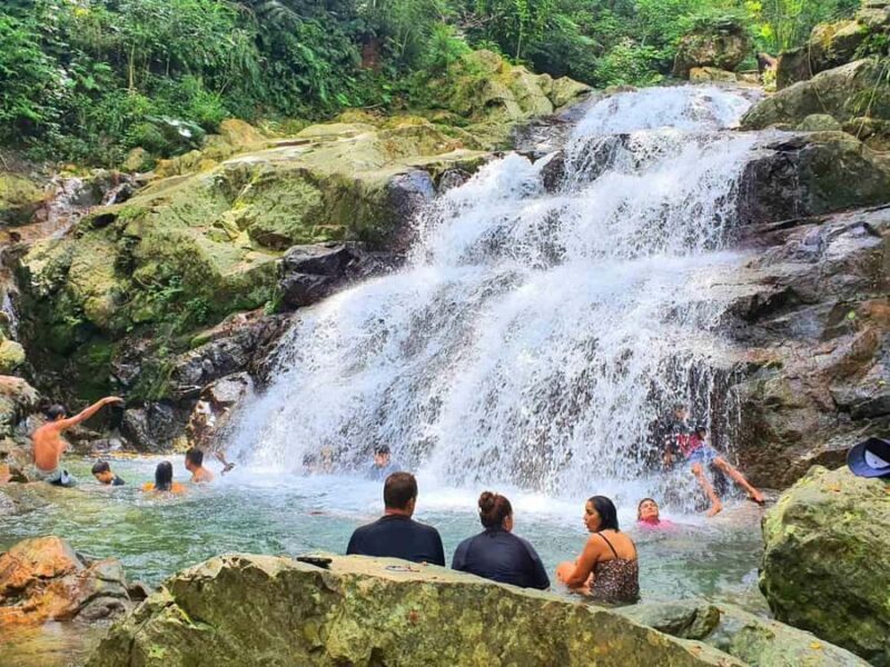 Nadi: Zipline, Waterfalls, and Jungle Safari Tour with Lunch - What You Can Expect: A Step-by-Step Breakdown