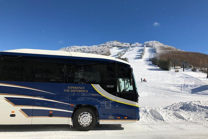 Naeba Express Bus - From/To Narita Airport and Tokyo Station - Introduction