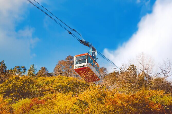 Naejangsan Fall Foliage Tour from Busan with Seoul Drop-off - Key Points