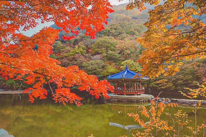 Naejangsan Fall Foliage Tour from Busan with Seoul Drop-off - The Sum Up