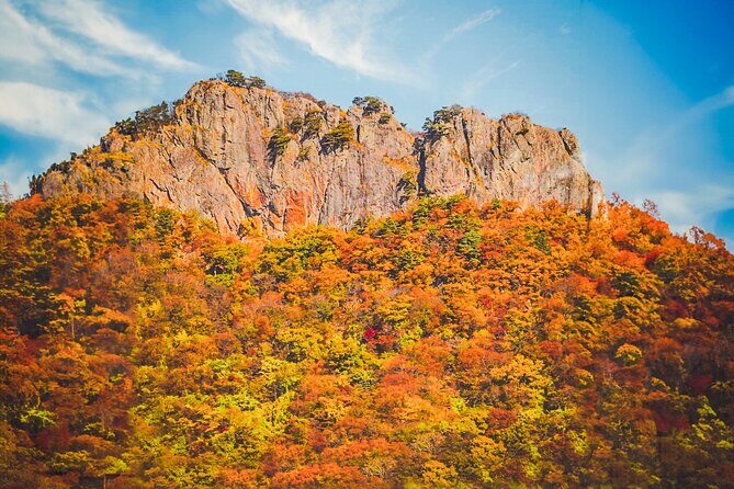 Naejangsan Fall Foliage Tour from Seoul with Busan Drop-off - Introduction