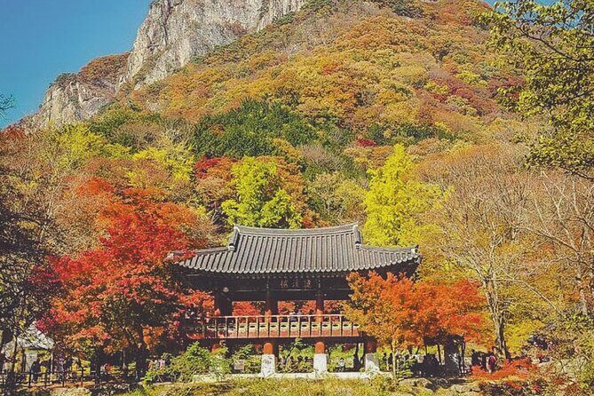 Naejangsan Fall Foliage Tour from Seoul with Busan Drop-off - Key Points