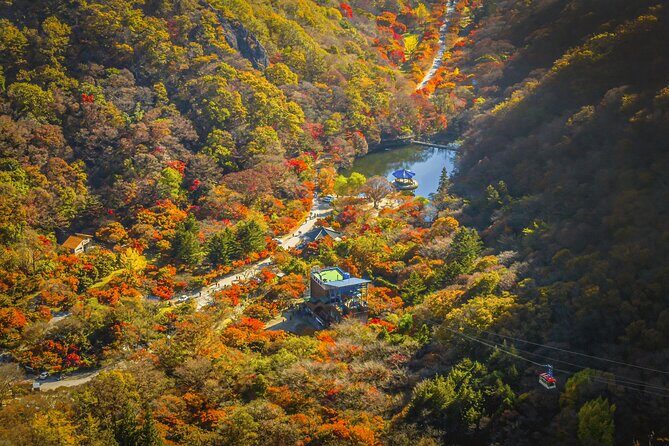 Naejangsan Fall Foliage Tour from Seoul with Busan Drop-off - What Travelers Say (Based on Reviews)