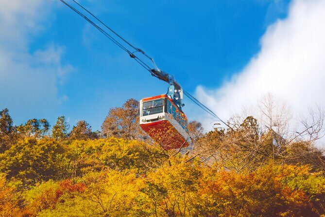 Naejangsan Fall Foliage Tour from Seoul with Busan Drop-off - Practical Tips for Participants