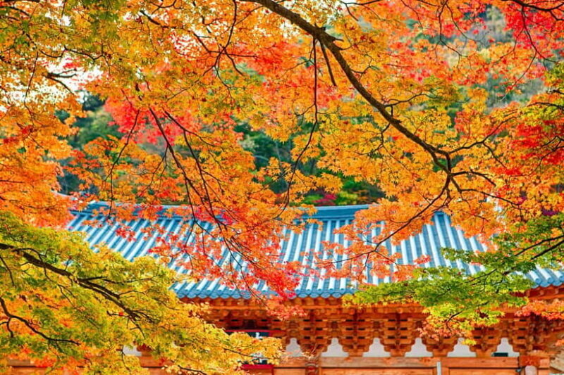 Naejangsan: Highlight of a Korean Autumn Day Trip from Busan - Exploring Naejangsan: The Main Attraction