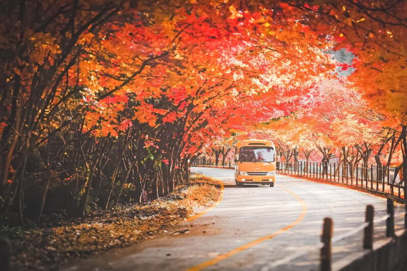 Naejangsan: Highlight of a Korean Autumn Day Trip from Busan - Who Should Consider This Tour?
