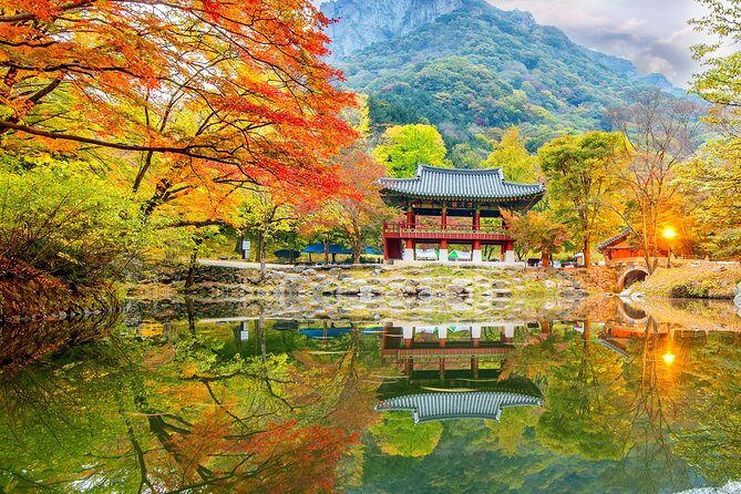 Naejangsan National Park Autumn Foliage One Day Tour from Busan - The Sum Up: Is This Tour for You?