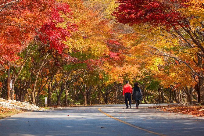 Naejangsan National Park Autumn Foliage One Day Tour from Busan - FAQ