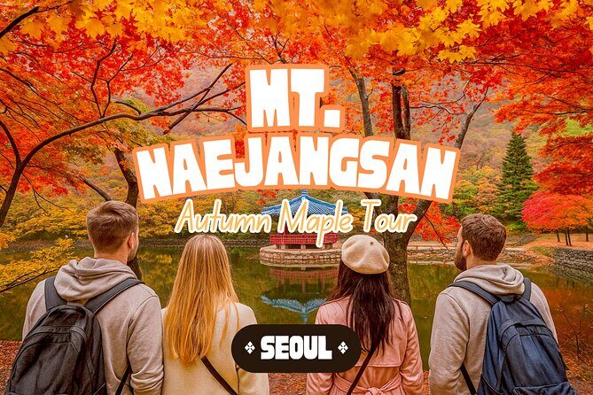 Naejangsan National Park Autumn Foliage One Day Tour from Seoul - Key Points