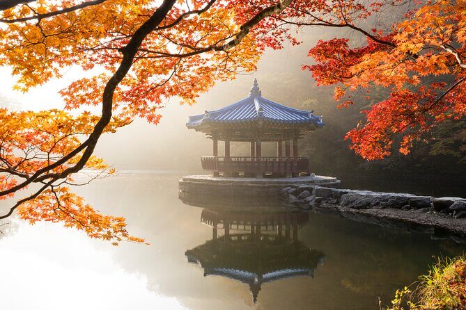 Naejangsan National Park Autumn Foliage One Day Tour from Seoul - What’s Included and What’s Not