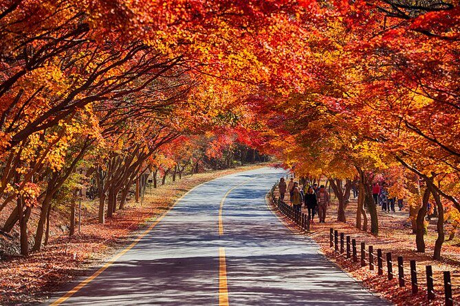 Naejangsan National Park Autumn Foliage One Day Tour from Seoul - Who Will Love This Tour?