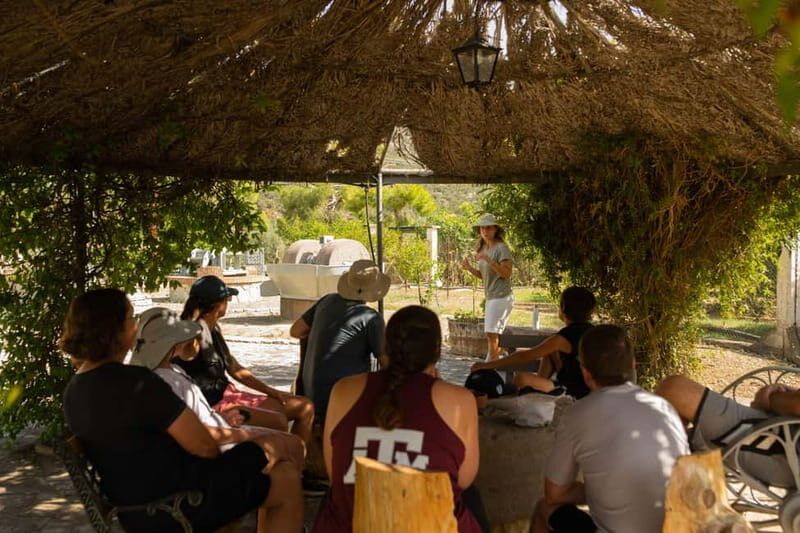 Nafplio: Olive Oil Estate Tour and Tasting - FAQ