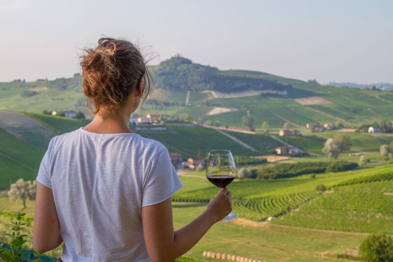 Nafplion: Nemea Vineyards Wine Tour - Nafplion: Nemea Vineyards Wine Tour — An In-Depth Look