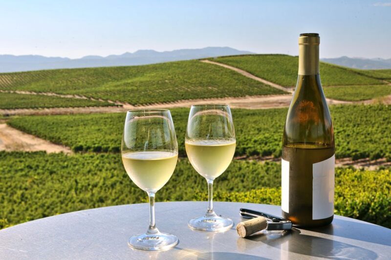 Nafplion: Nemea Vineyards Wine Tour - Authentic Experiences and Insights from Travelers