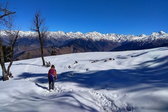 Nag Tibba Village Tour - Practical Tips for Future Travelers