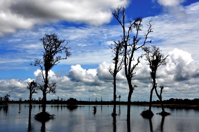 Nagaland and Manipur Tribal Communities and Nature Trails - Key Points