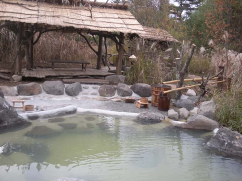 Nagano: 4-Hour Silent Snowshoe Tour + Onsen & Izakaya - Optional Izakaya Visit: Winding Down with Local Flavors